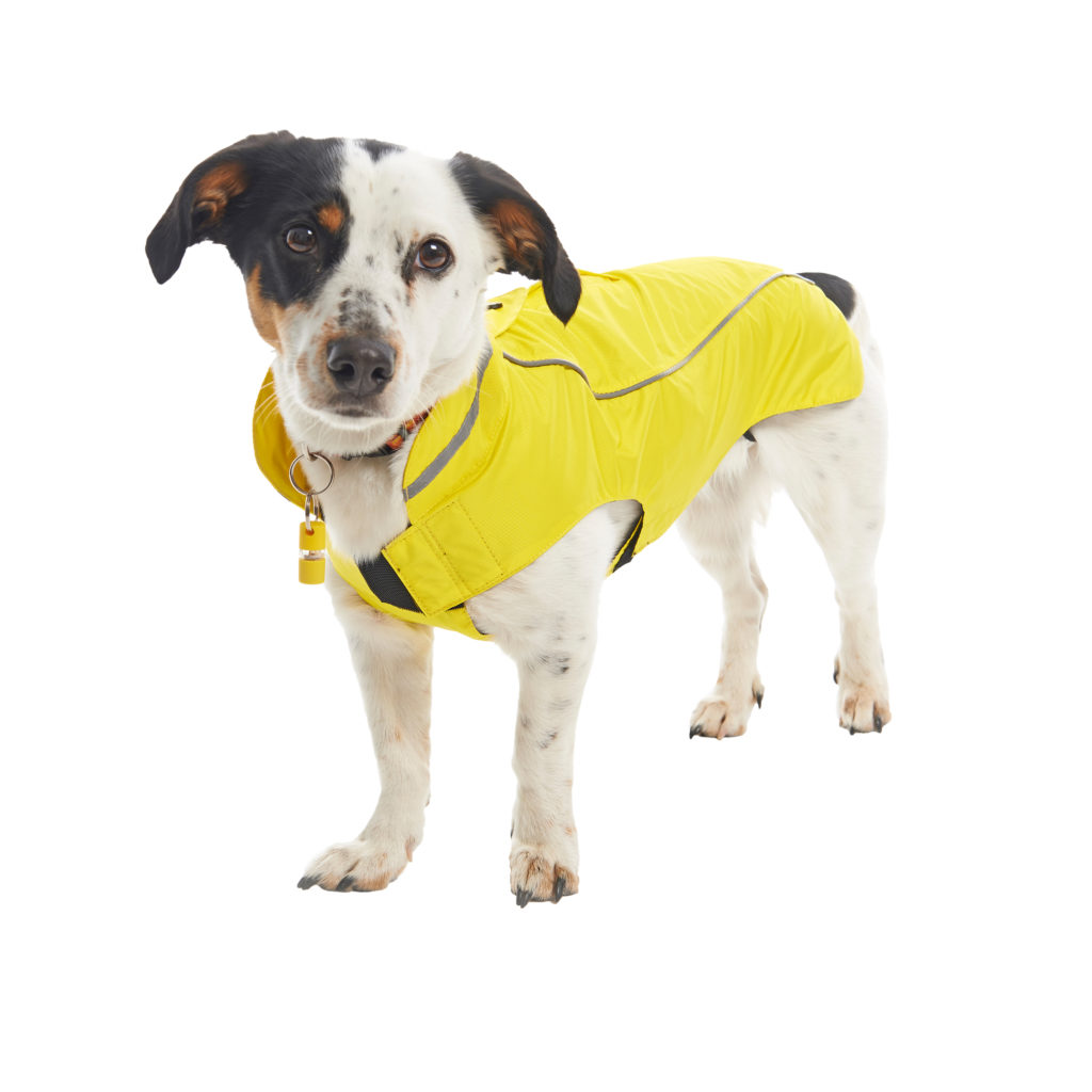 BUSTER Dog Coats - Provet NZ