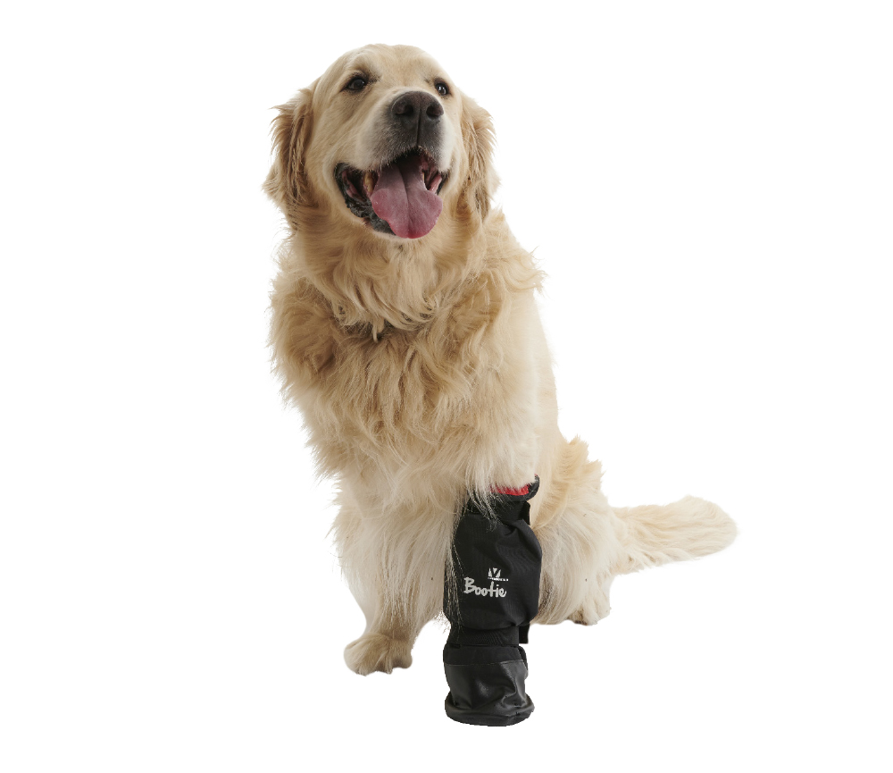 BUSTER Protective Paw Booties - Provet NZ