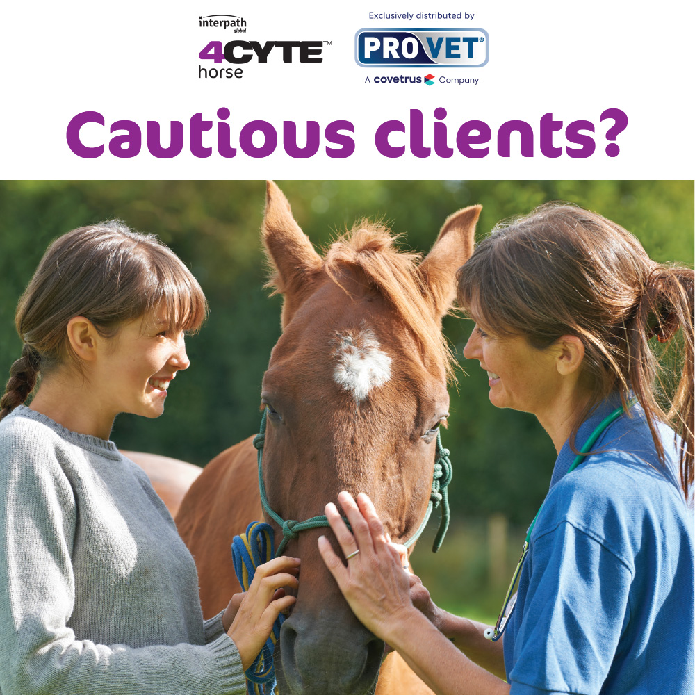 News and Events - Provet NZ