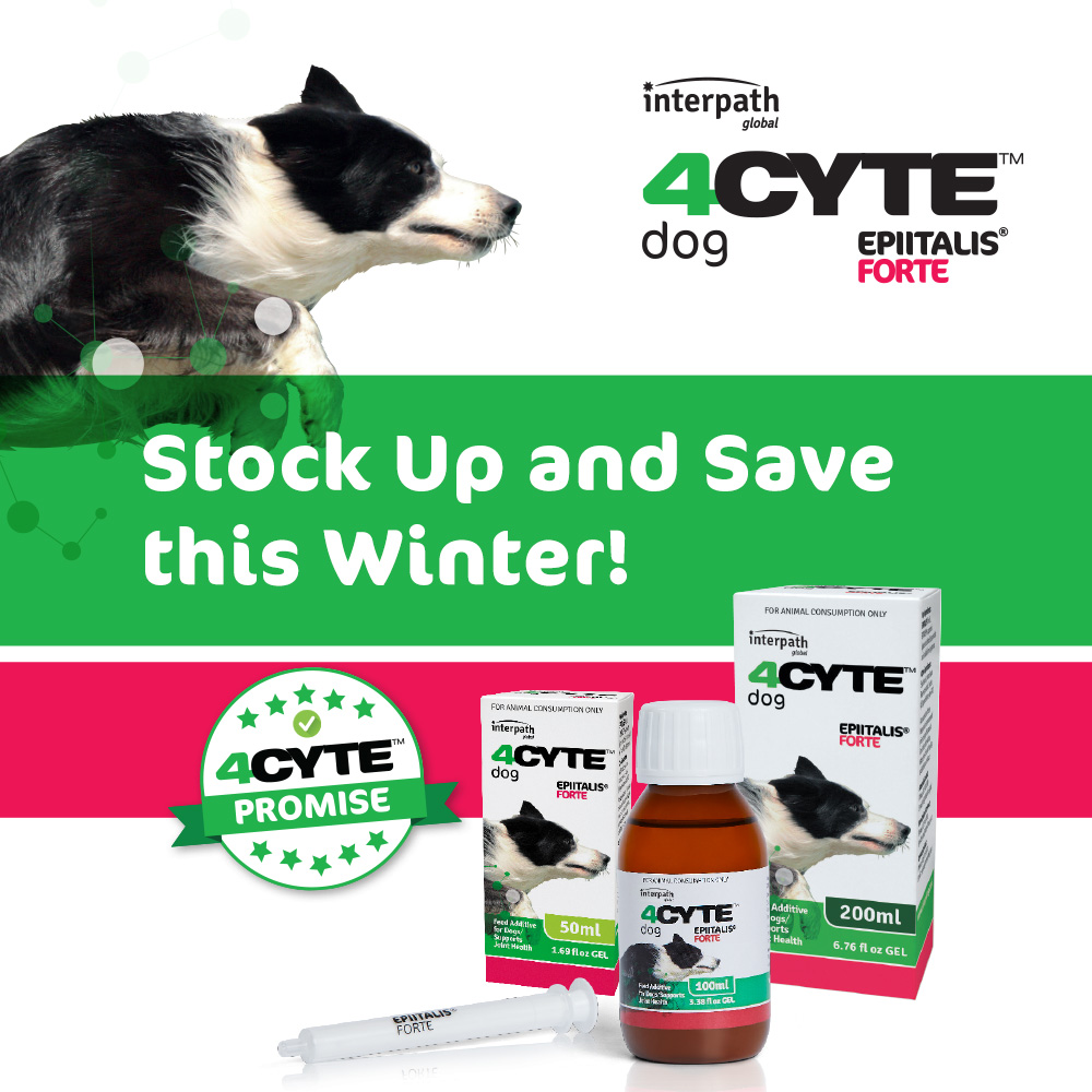 Provet New Zealand - Supporting Your Veterinary Business