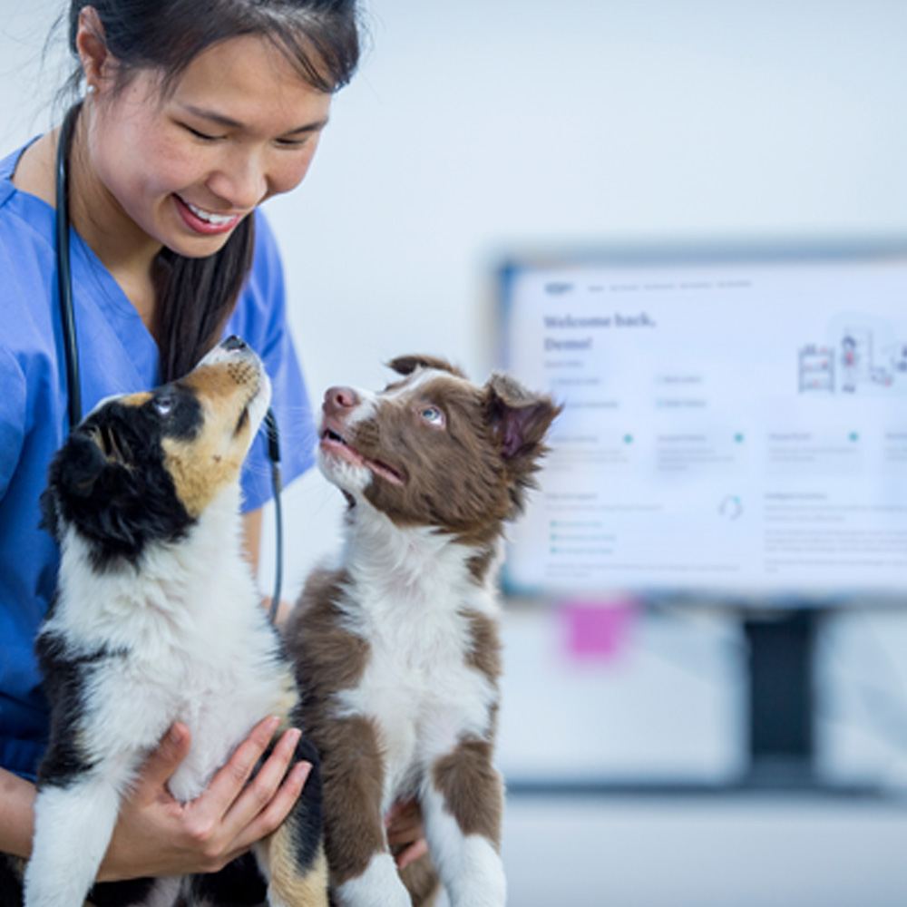 News and Events - Provet NZ