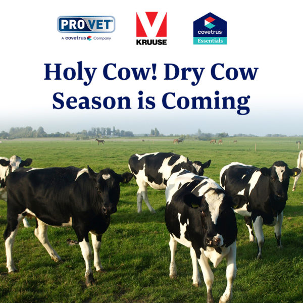 Promotions - Provet New Zealand