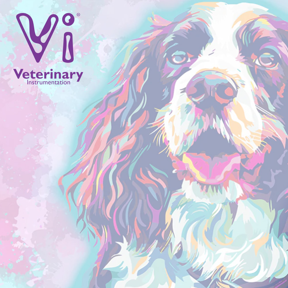 Provet New Zealand - Veterinary Supplies & Services