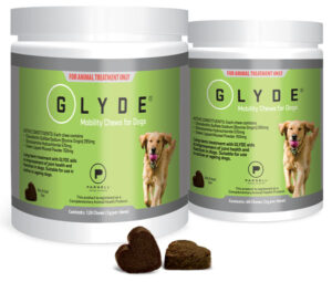 Glyde Joint Health Chews for Dogs - Provet NZ