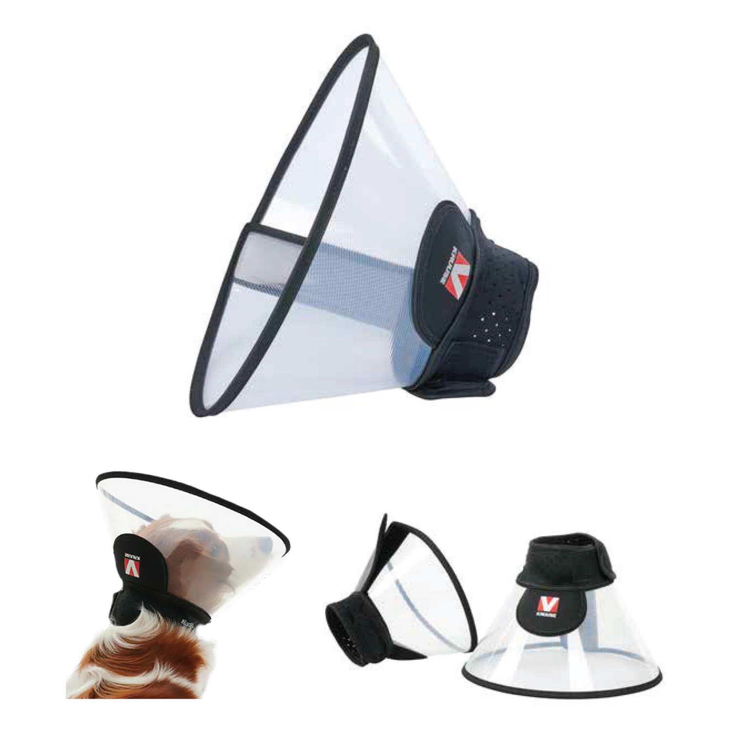 BUSTER Complete Collar - Provet NZ