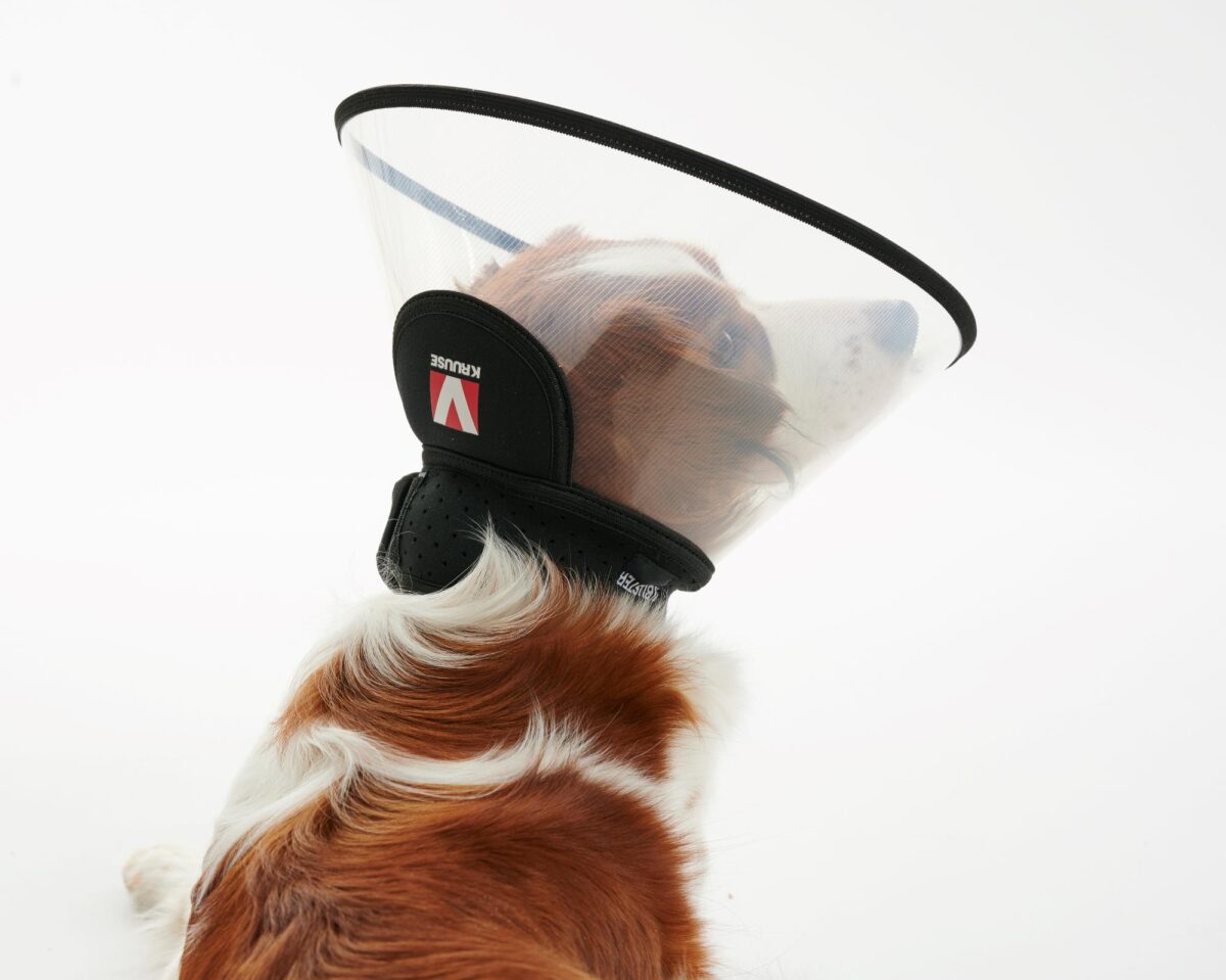 BUSTER Complete Collar - Provet NZ