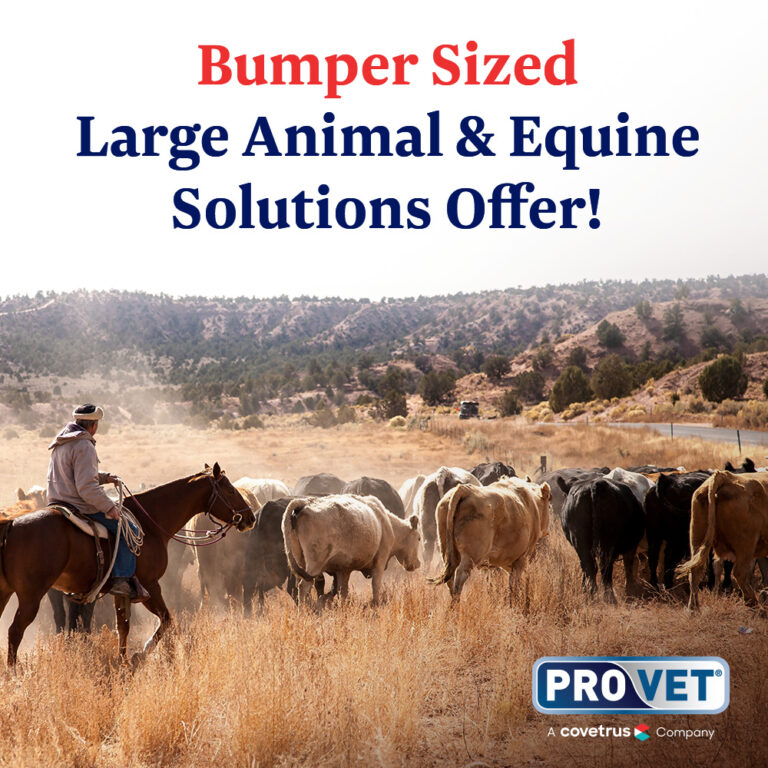 Riverpoint Medical Sutures - Provet New Zealand