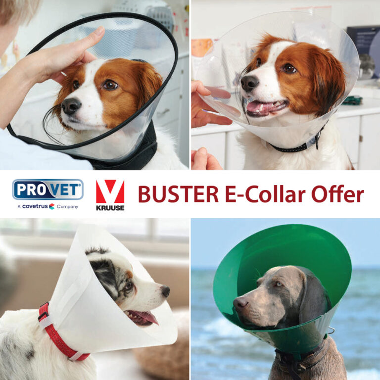 KRUUSE - Provet New Zealand