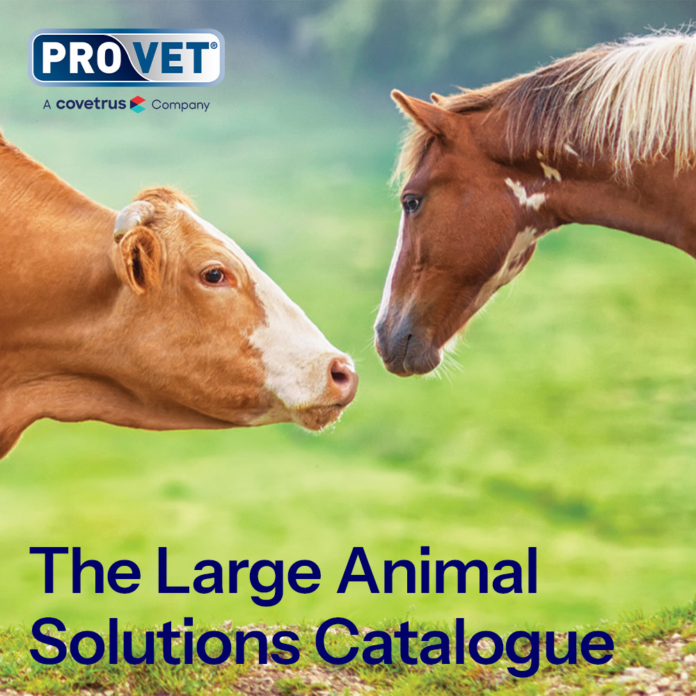 Provet New Zealand - Veterinary Supplies & Distribution