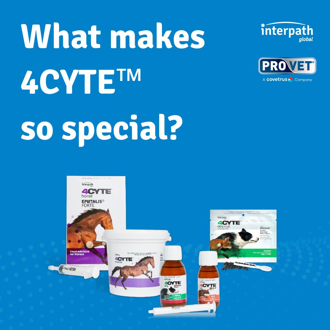 Provet New Zealand - Veterinary Supplies & Services