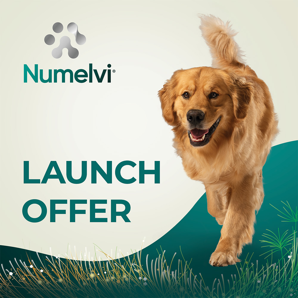 Numelvi Launch Offer - Provet NZ