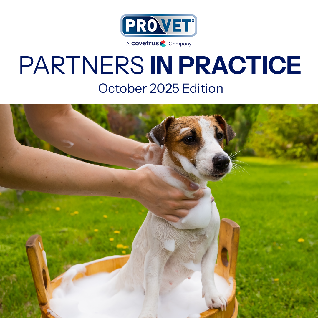 Provet New Zealand - Veterinary Supplies & Distribution
