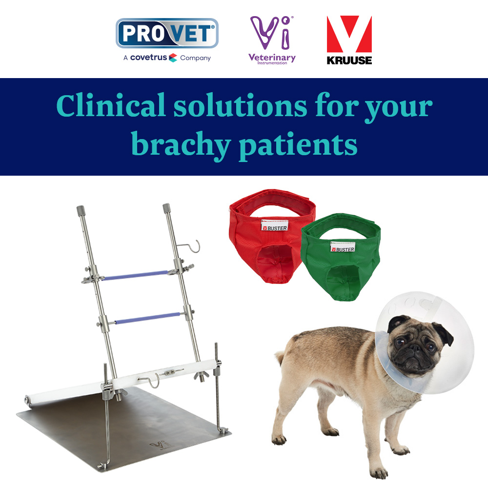 Provet News - Provet New Zealand