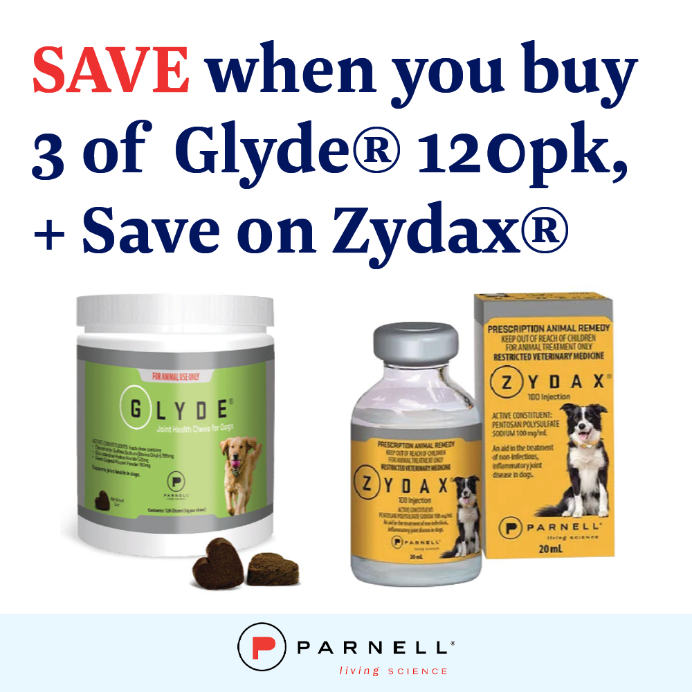 Zydax Injection for Dogs - Provet NZ